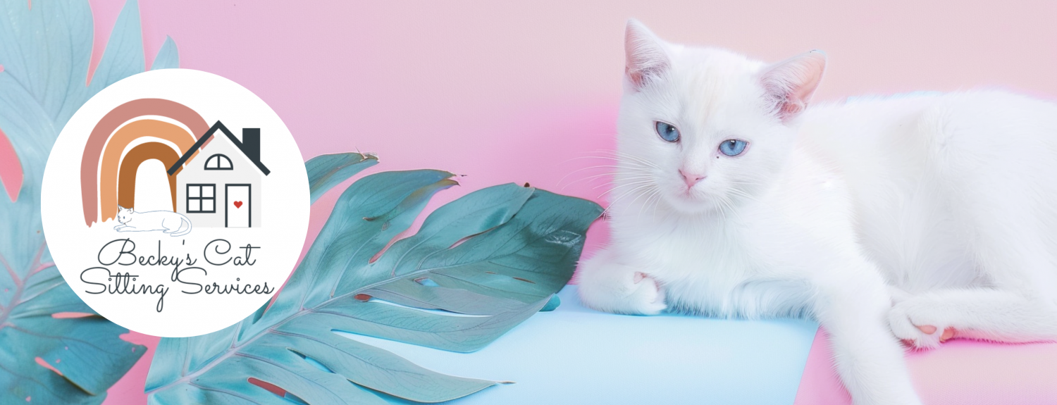 Becky's Cat Sitting Services - Covering Ystradgynlais and Pontardawe